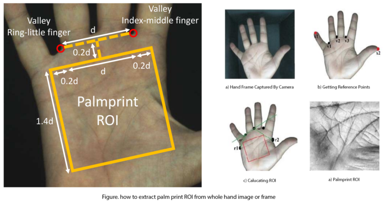 Palm Recognition SDK - KBY-AI
